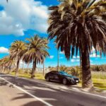 Adelaide Cruise Ship Tours - The Itinerary Breakdown: What You’ll Experience