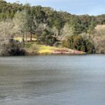 Adelaide Cruise Ship Tours to Hahndorf & Hills Wildlife Wonders - Practical Tips for Travelers