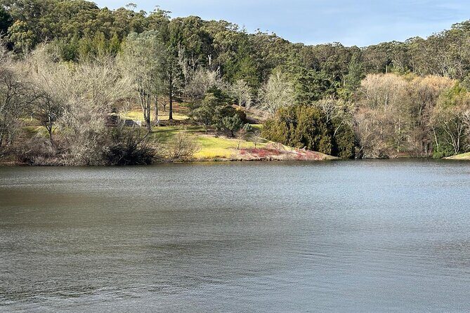 Adelaide Cruise Ship Tours to Hahndorf & Hills Wildlife Wonders - Practical Tips for Travelers