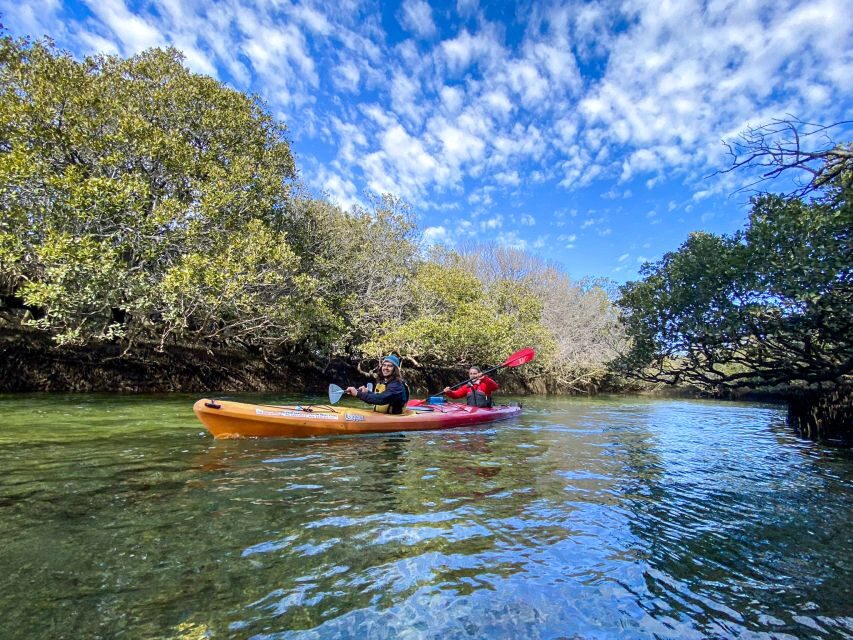 Adelaide: Dolphin Sanctuary 1 or 2-Person Kayak Rental - Who’s This Experience For?