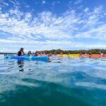 Adelaide Dolphin Sanctuary and Ships Graveyard Kayak Tour - The Experience from a Practical Perspective