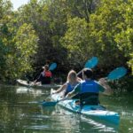 Adelaide: Dolphin Sanctuary Eco Kayaking Tour - Who Should Consider This Tour?
