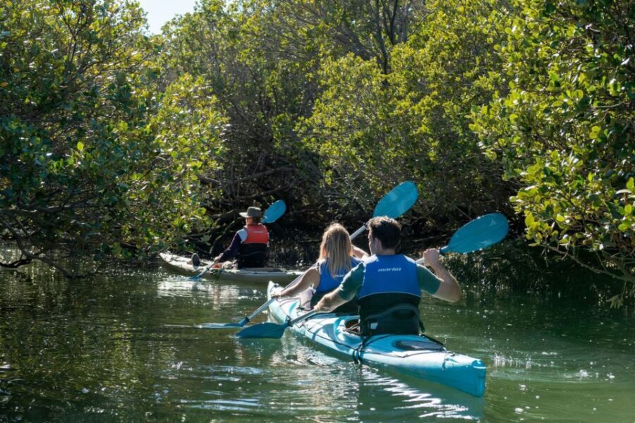 Adelaide: Dolphin Sanctuary Eco Kayaking Tour - Who Should Consider This Tour?