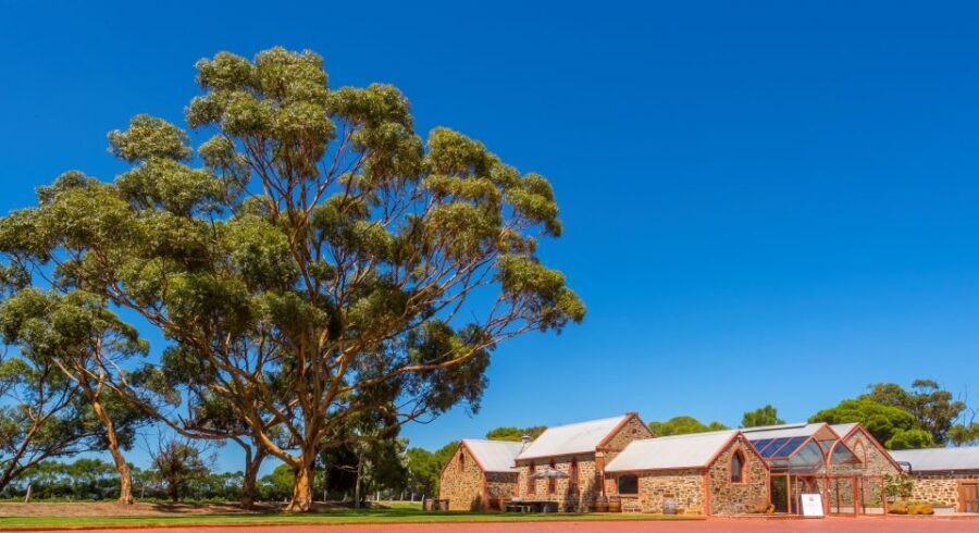 Adelaide: Half-day McLaren Vale & Glenelg Wine Tasting Tour - Transportation, Group Size, and Price