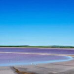 Adelaide Highlights: Wine, Whispering Wall & Pink Lake Tour - Bumbunga Lake: A Surreal Pink Wonderland