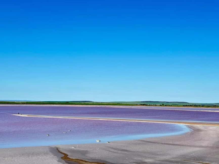 Adelaide Highlights: Wine, Whispering Wall & Pink Lake Tour - Bumbunga Lake: A Surreal Pink Wonderland