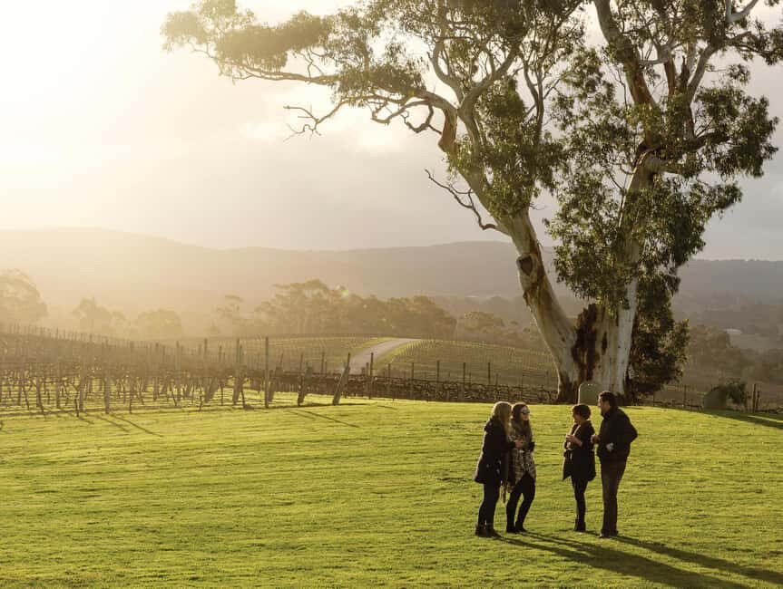 Adelaide Hills and Hahndorf Hop-On-Hop-Off Tour - Who Should Consider This Tour?