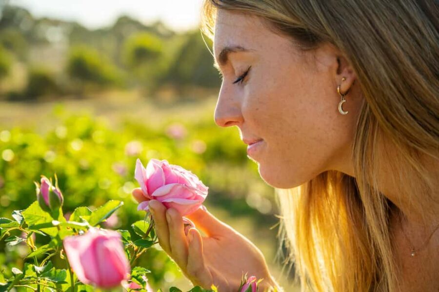 Adelaide Hills: Jurlique Farm Tour - Why This Tour Offers Real Value