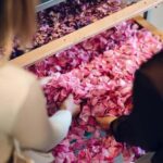 Adelaide Hills: Jurlique Private Immersion - Why it’s Worth the Effort