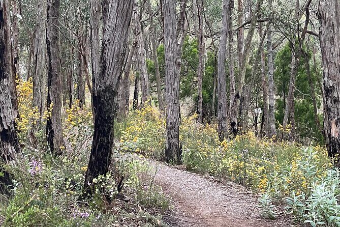 Adelaide Hills Nature Highlights Self-Guided e-Bike Tour - Who Will Love This Tour?