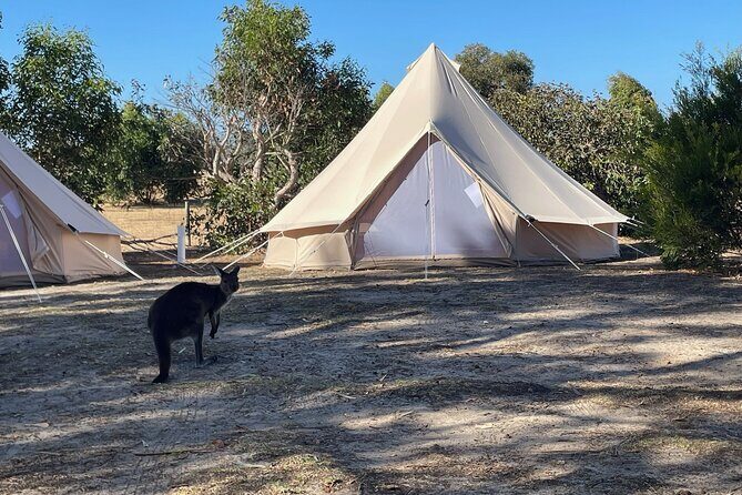 Adelaide: Kangaroo Island 2-Day Epic Adventure Small Group tour - First Impressions: Penneshaw and Cygnet River