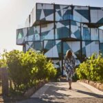 Adelaide: McLaren Vale All-Inclusive Wine and Brew Tour - What Travelers Say About the Experience