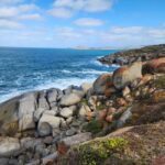 Adelaide: McLaren Vale, Port Elliot & Victor Harbor Tour - Whats Included and Whats Not