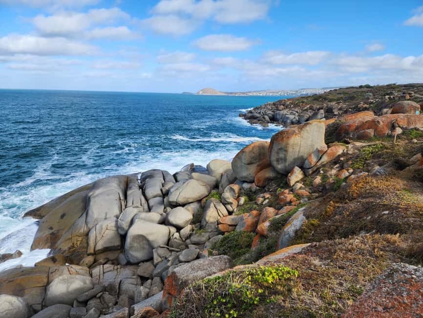 Adelaide: McLaren Vale, Port Elliot & Victor Harbor Tour - Whats Included and Whats Not