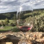 Adelaide: McLaren Vale Private WineTour+Your Chosen Tastings - The Itinerary: Wineries and Views