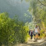Adelaide: Morialta Wilderness and Wildlife Hike - Practical Details: Whats Included and What to Consider