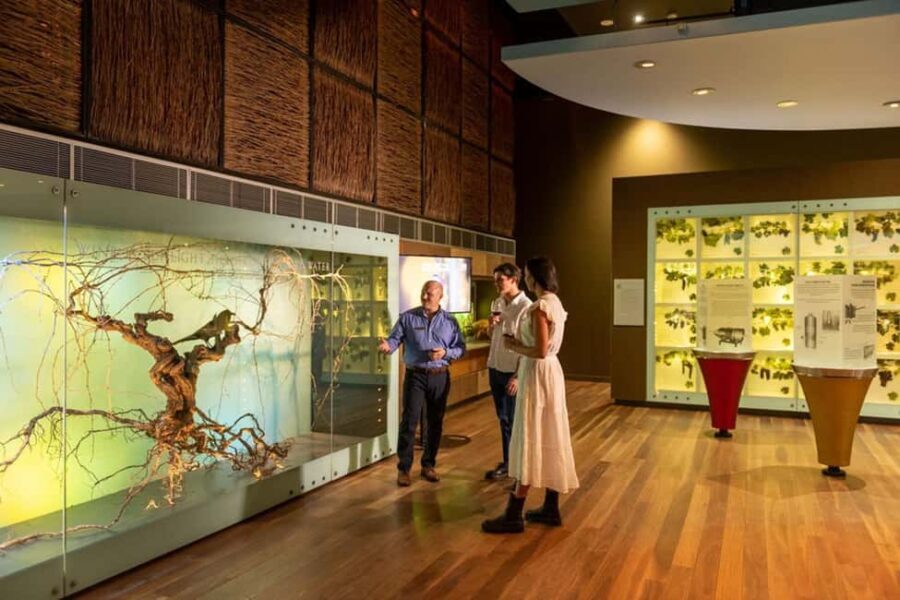 Adelaide: National Wine Centre Wine Discovery Journey - The Value of the Experience