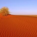 Adelaide to Coober Pedy 7-Day Small Group 4WD Eco Safari - The Itinerary in Detail