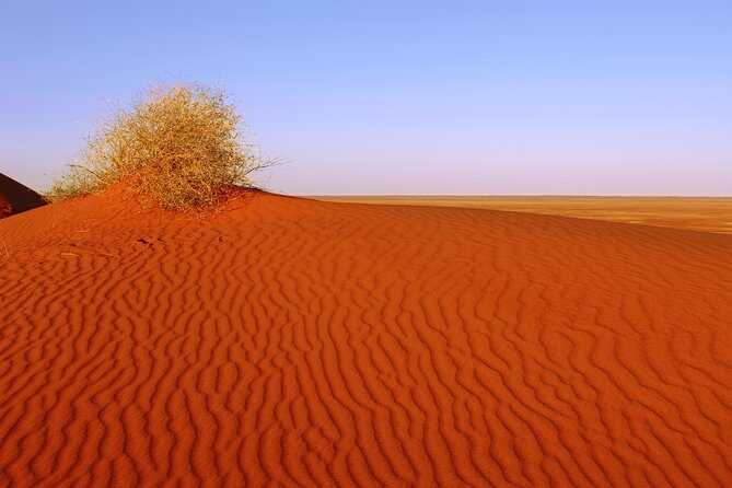 Adelaide to Coober Pedy 7-Day Small Group 4WD Eco Safari - The Itinerary in Detail