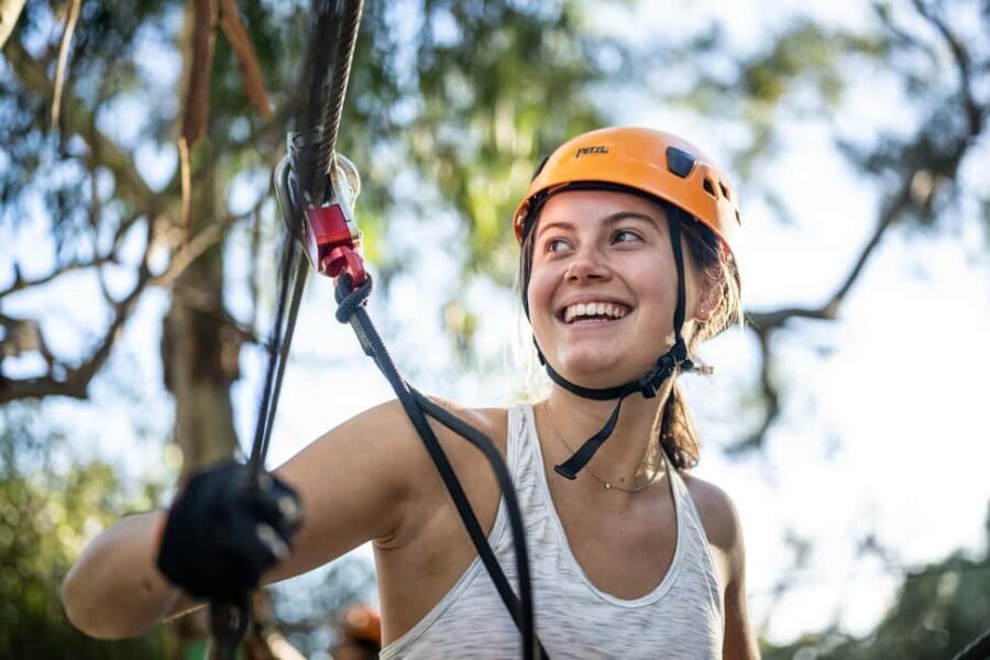 Adelaide: TreeClimb Adventure - The Experience: What Its Like to Climb the Salisbury Grand Course