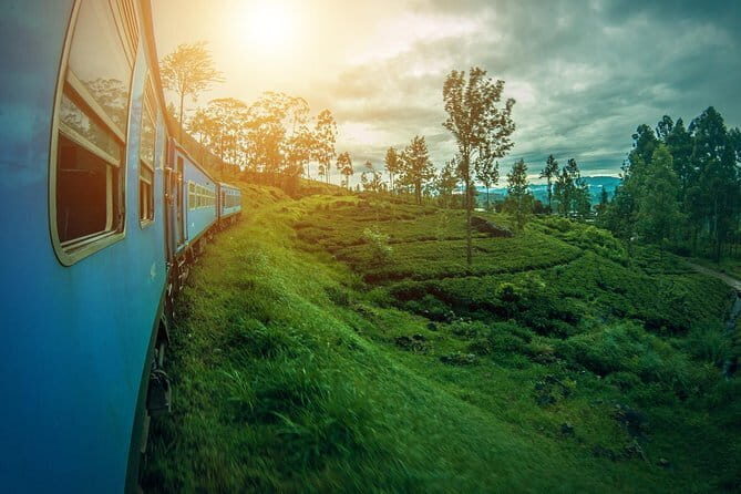 Adisham Rail Tour from Ella City - Practical Details and Value
