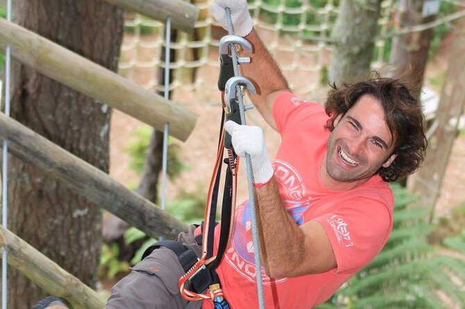 Adrenalin Forest Auckland - Analyzing the Value