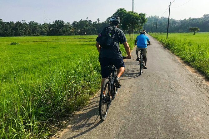 Adventure Cycling from Galle - In-Depth Look at the Tour Experience