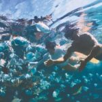 Adventure Moreton Island Scuba Dive Tour - Final Thoughts