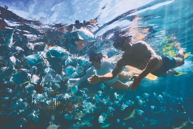 Adventure Moreton Island Scuba Dive Tour - Final Thoughts