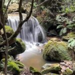Adventurous Blue Mountains hike up the iconic Three Sisters - The Experience: What Makes It Stand Out