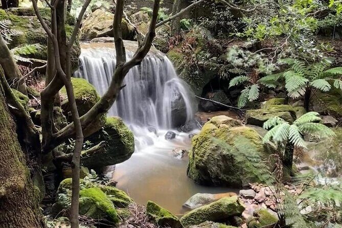 Adventurous Blue Mountains hike up the iconic Three Sisters - The Experience: What Makes It Stand Out