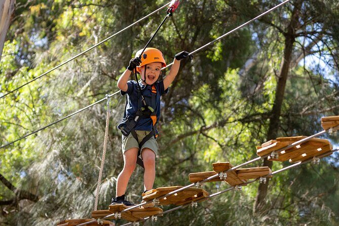 Aerial Fun & Ziplining for Our Littlest Adventurers in Salisbury - What Does the Tour Entail?
