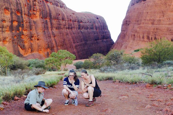 Afternoon Kata Tjuta Small Group Tour - In-Depth Breakdown of the Itinerary