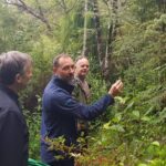 Afternoon Piha Beach and Rainforest Tour from Auckland - The Experience from a Traveler’s Perspective