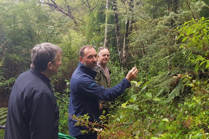 Afternoon Piha Beach and Rainforest Tour from Auckland - The Experience from a Traveler’s Perspective