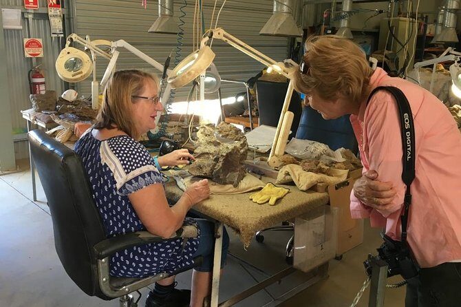 Age of Dinosaurs Museum Half Day Tour with Red Dirt Tours - The Value & What You Should Know Before Booking