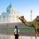 Agra: 3-Hour Private Guided Walking Tour of the Taj Mahal - Practical Considerations
