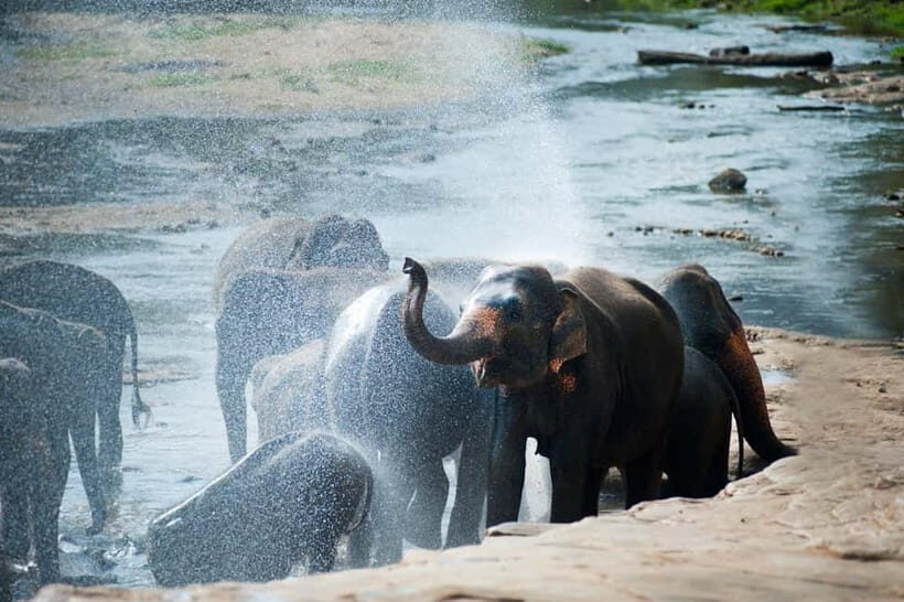 Agra: Taj Mahal Sunrise, Agra Fort & Elephant Center Tour - The Sum Up
