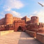 Agra: Taj Mahal Sunrise & Agra Fort Full Day City Tour - Why This Tour Offers Great Value