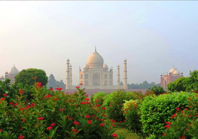 Agra: Tour Guide in Agra full-day - 8 Hours - Why This Tour Offers Great Value
