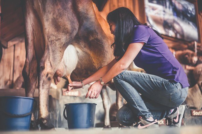 Agrodome Farm Experience including Farm Show and Farm Tour - Rotorua - Who Will Love This Experience?