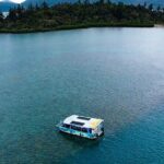 Airlie Beach Glass Bottom Boat Guided Night Tour - The Sum Up