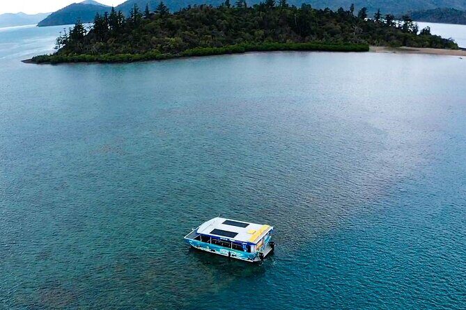 Airlie Beach Glass Bottom Boat Guided Night Tour - The Sum Up