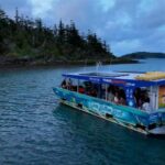 Airlie Beach: Glass-Bottom Boat Night Tour - What to Expect on the Tour