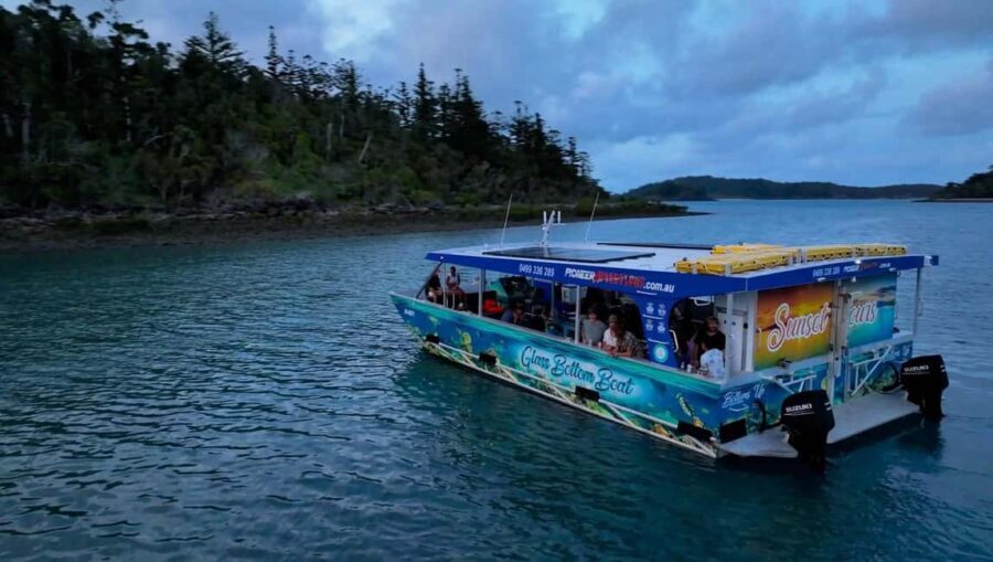Airlie Beach: Glass-Bottom Boat Night Tour - What to Expect on the Tour