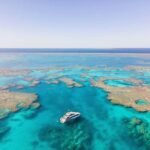 Airlie Beach: Great Barrier Reef Snorkel from Shute Harbour - The Value of This Reef Trip
