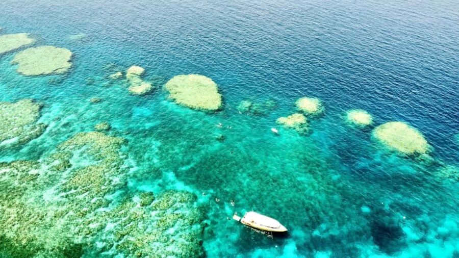 Airlie Beach: Great Barrier Reef & Whitehaven Beach Tour - Detailed Breakdown of the Itinerary