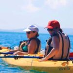 Airlie Beach: Half Day Turtle Tour Sea Kayaking Adventure - Why It Offers Good Value