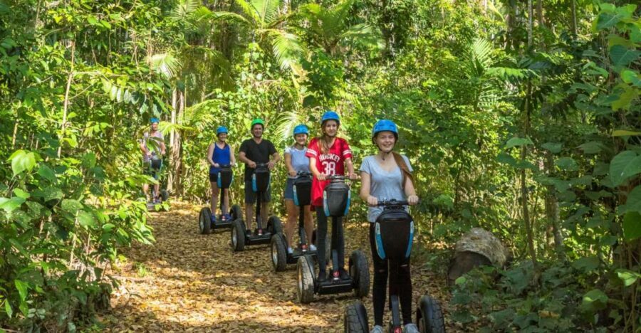 Airlie Beach: Segway Rainforest Discovery Tour - Why this tour offers good value