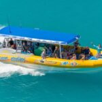 Airlie Beach: Snorkel, Hill Inlet Lookout & Whitehaven Beach - The Value of This Tour